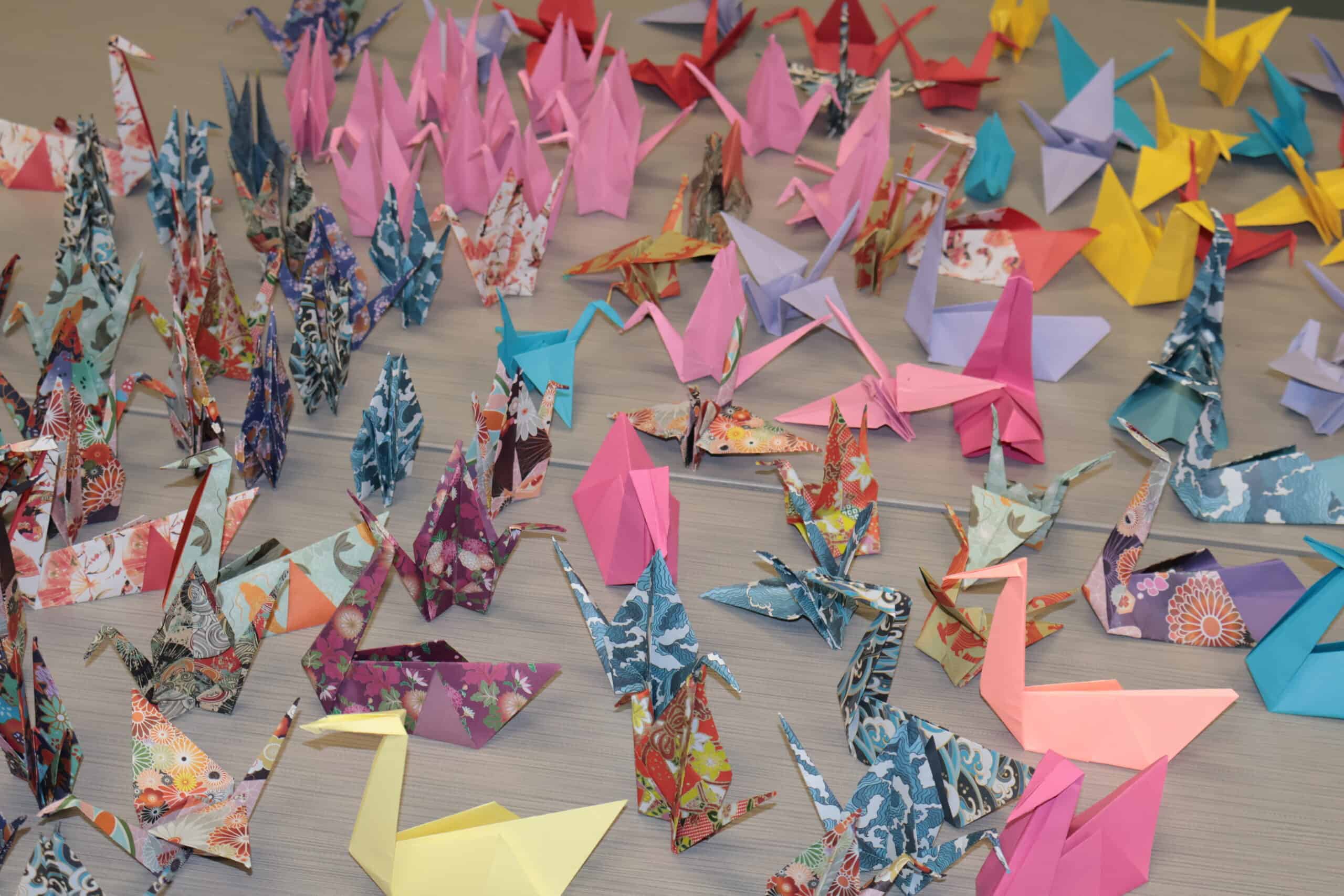 Nonprofit Origami for Good creates paper art for social change